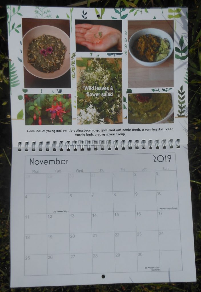 Wild Food | Raw Rob: Raw food, wild food & consciousness