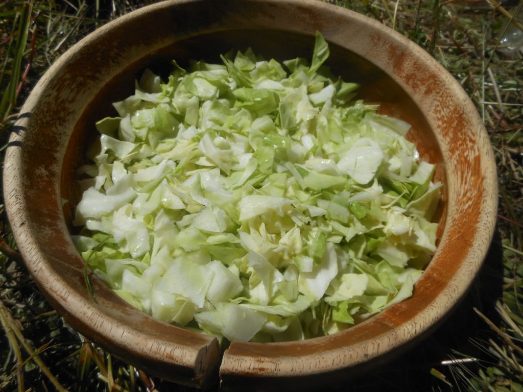 Raw Rob: Raw food, wild food & consciousness